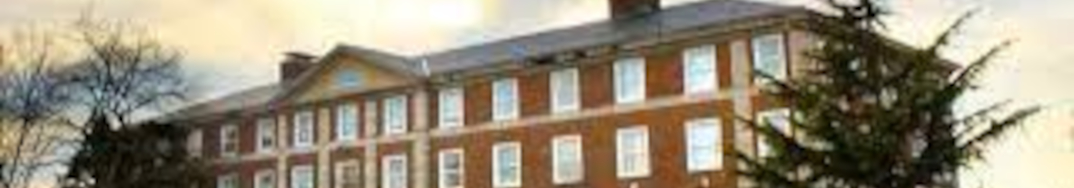 Adelphi University: Admission 2024, Rankings, Fees & Acceptance Rate at ...