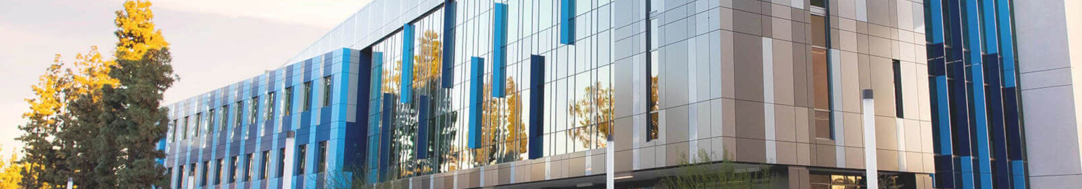 California State University, Dominguez Hills: Admission 2025, Rankings ...