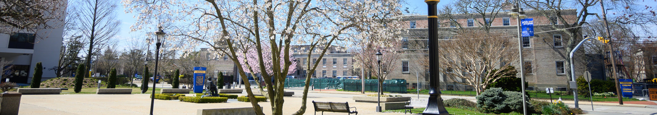 Hofstra University: Admission 2024, Rankings, Fees & Acceptance Rate at