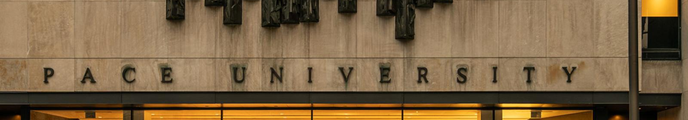 Pace University: Admission 2025, Rankings, Fees & Acceptance Rate at Pace