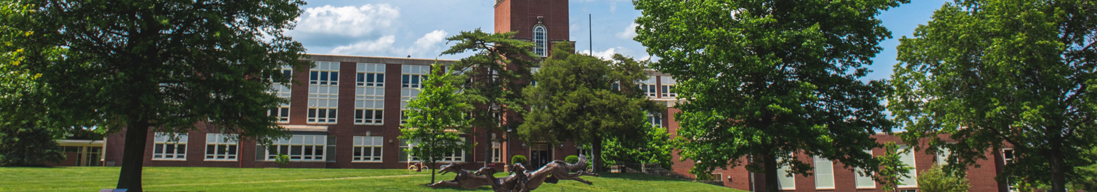 Southern Illinois University, Carbondale: Admission 2024, Rankings ...