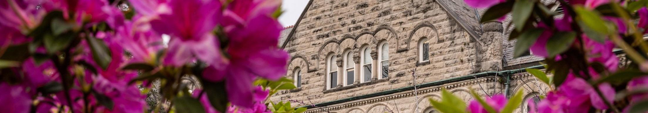 Tulane University: Admission 2024, Rankings, Fees & Acceptance Rate at