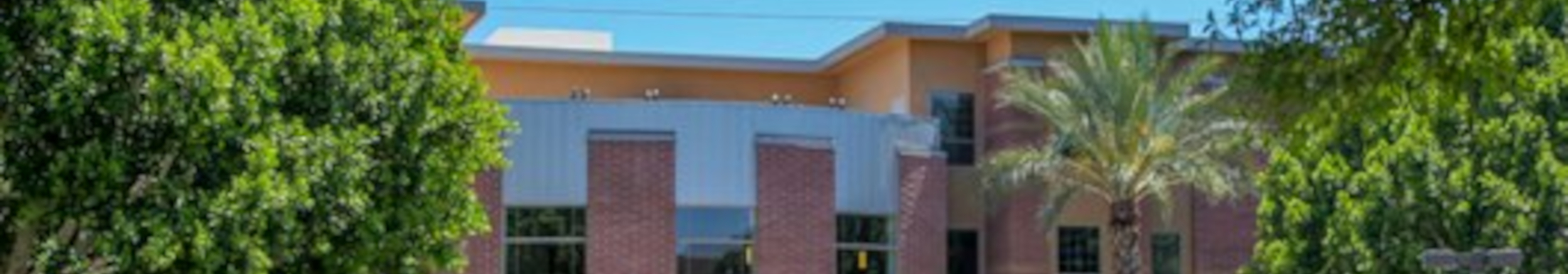 BS in Artificial Intelligence at UAT : Admission 2024 - 2025 ...