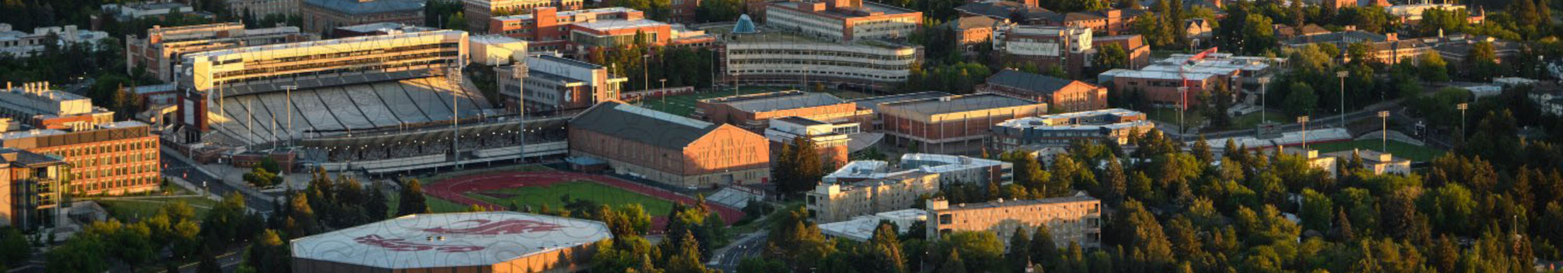 Washington State University: Admission 2024, Rankings, Fees & Acceptance Rate at WSU